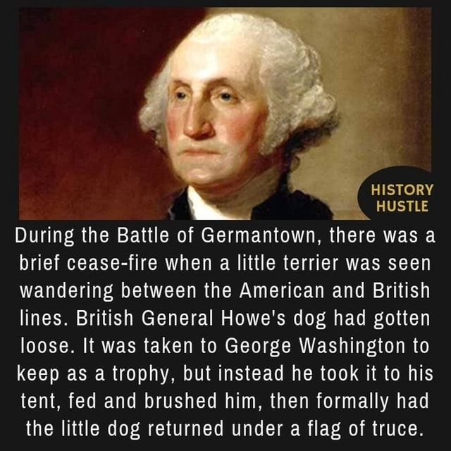 HISTORY HUSTLE During the Battle of Germantown, there was a brief cease ...