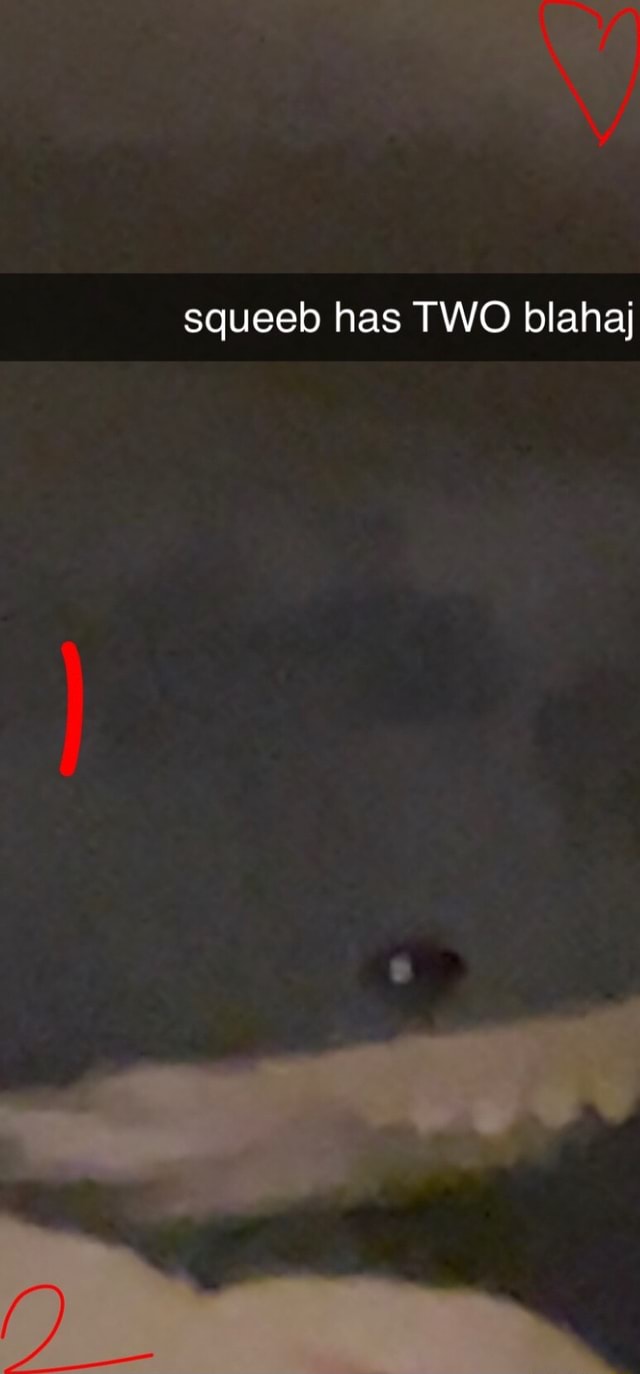 Squeeb has TWO blahaj - iFunny