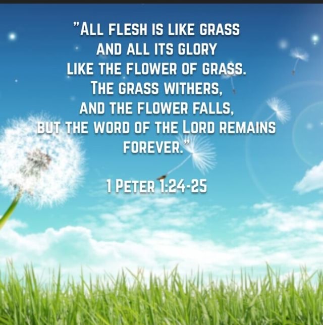 "ALL FLESH IS LIKE GRASS AND ALL ITS GLORY LIKE THE FLOWER OF GRASS THE ...