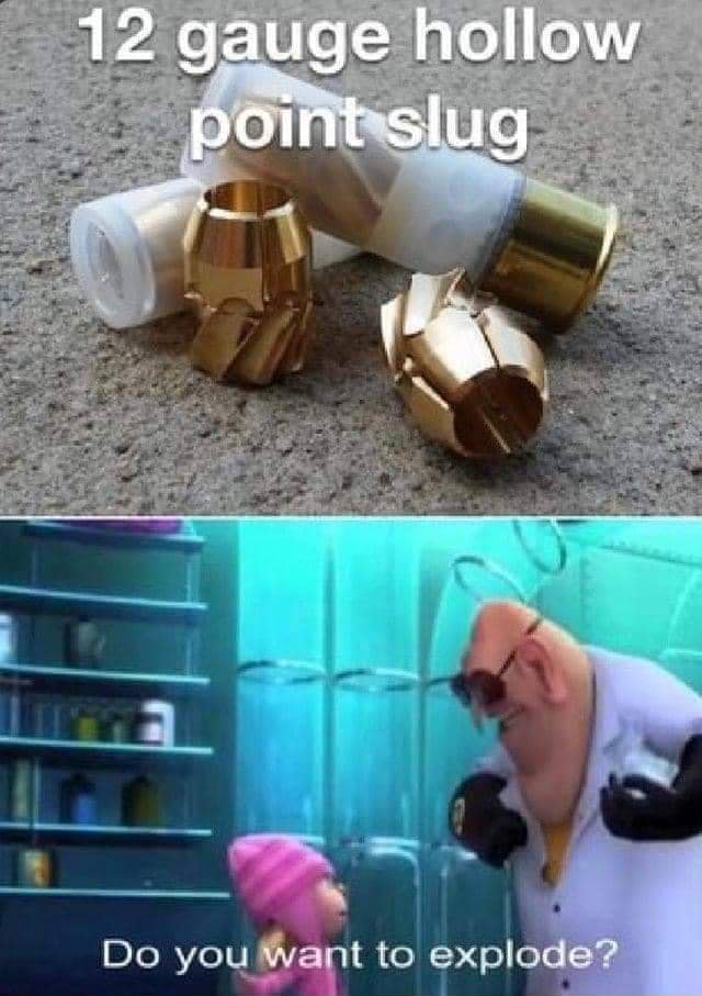 12 gauge hollow point slug Do you want to explode - America’s best pics ...