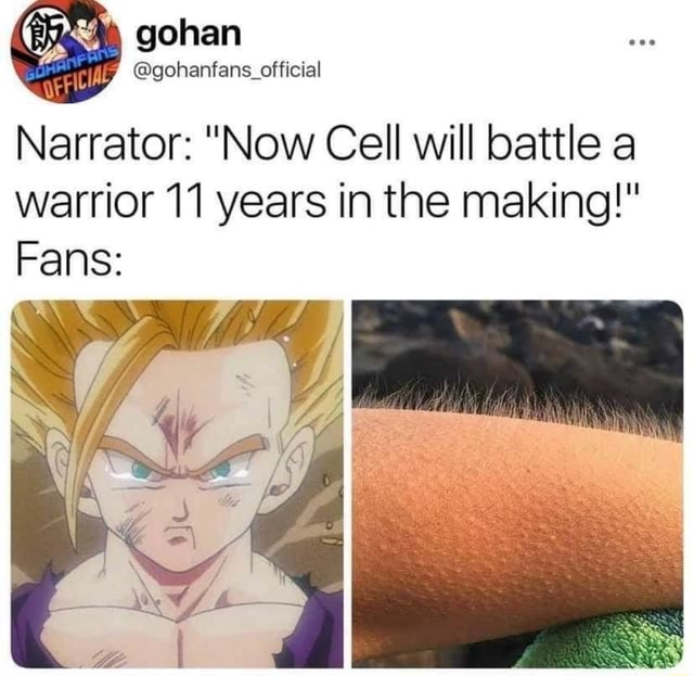 Gohan Narrator: "Now Cell will battle a warrior 11 years in the making ...