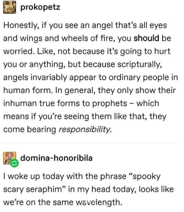 Werp Wop Honestly If You See An Angel That s All Eyes And Wings And Wheels Of Fire You werp-wop-honestly-if-you-see-an-angel-that-s-all-eyes-and-wings-and-wheels-of-fire-you