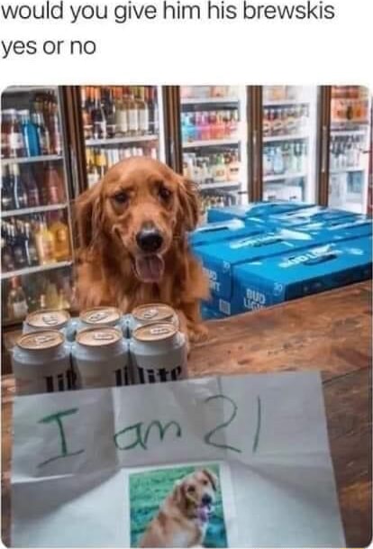 Would you give him his brewskis yes or no - iFunny