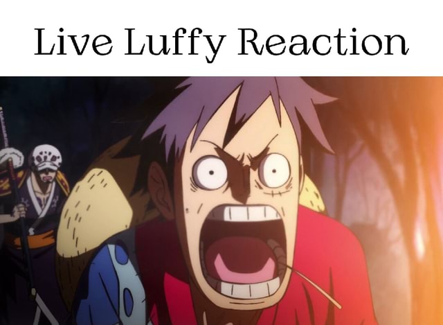 Live Luffy Reaction - iFunny
