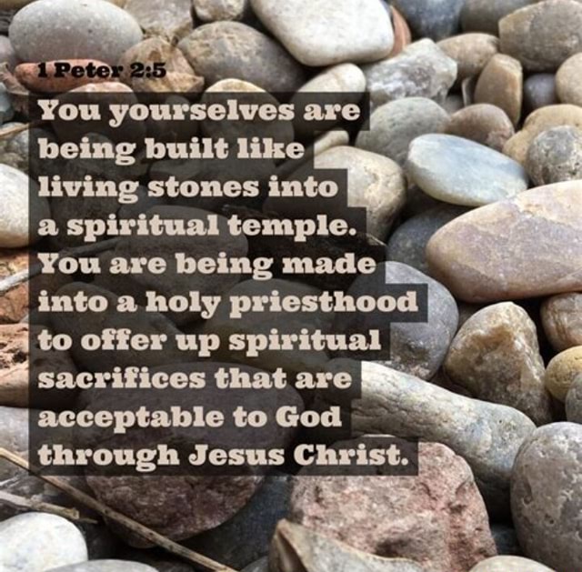 You are "4 being built like living stones into a spiritual temple. You ...