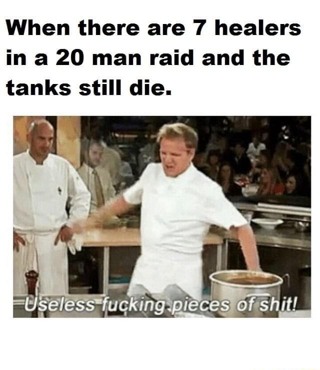 When there are 7 healers in a 20 man raid and the tanks still die. - iFunny