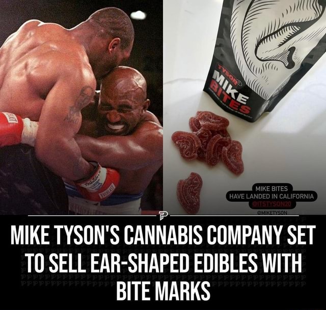 MIKE BITES HaVE LANDED IN CALIFORNIA MIKE TYSON'S CANNABIS COMPANY SET ...