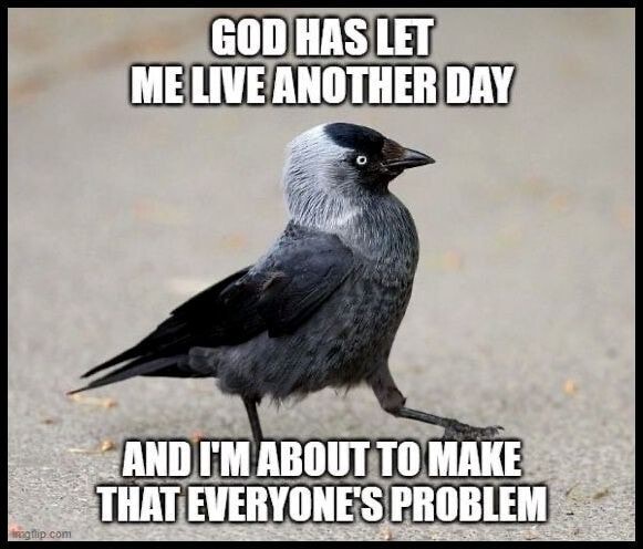 GOD HAS LET ME LIVE ANOTHER DAY AND I'M ABOUT TO MAKE THAT EVERYONE'S ...