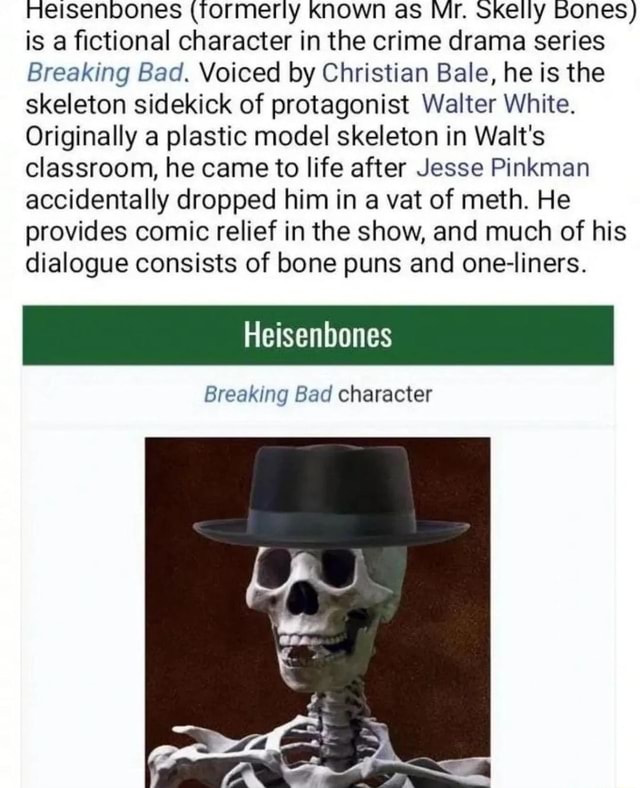 Heisenbones (formerly KNOWN as Mr. oKelly bones) is a fictional ...