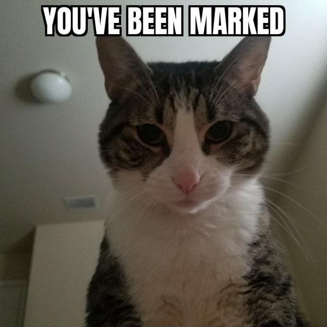 YOU'VE BEEN MARKED - iFunny