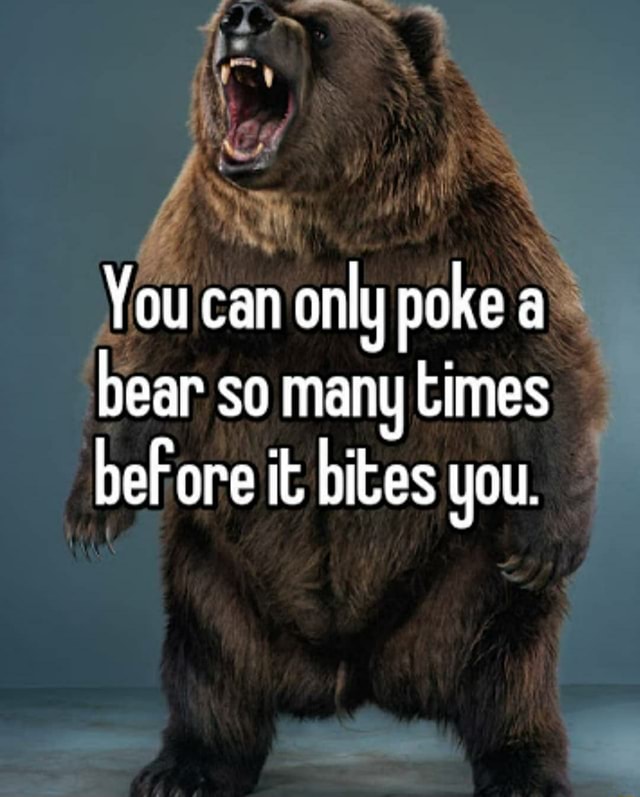 You can only poke a bear so many times I before it bites you. - iFunny