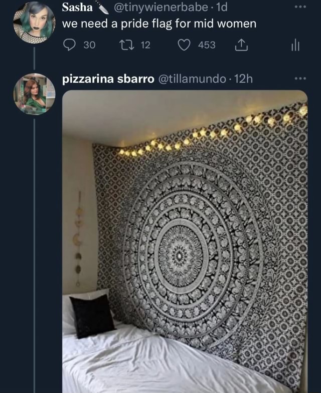 Sasha @tinywienerbabe - id we need a pride flag for mid women ill 12 ...