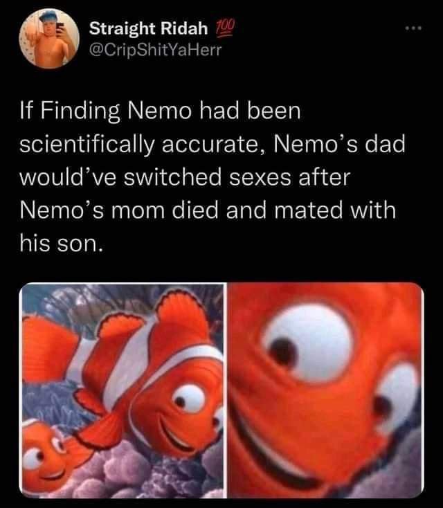 If Finding Nemo had been scientifically accurate, Nemo's dad would've ...