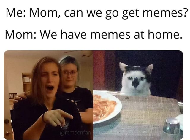 Me: Mom, can we go get memes? Mom: We have memes at home. - iFunny