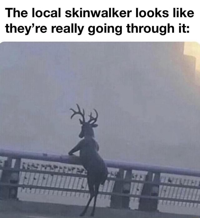 The local skinwalker looks like they're really going through it: - iFunny