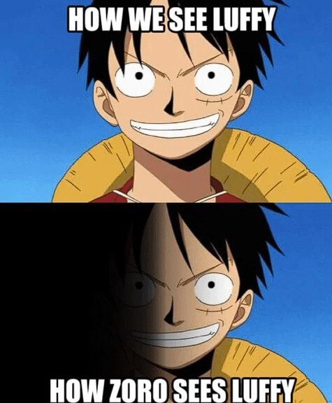 HOW WE SEE LUFFY HOW ZORO SEES LUFEY - iFunny
