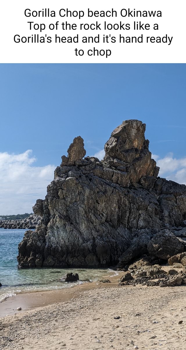 Gorilla Chop beach Okinawa Top of the rock looks like a Gorilla's head ...