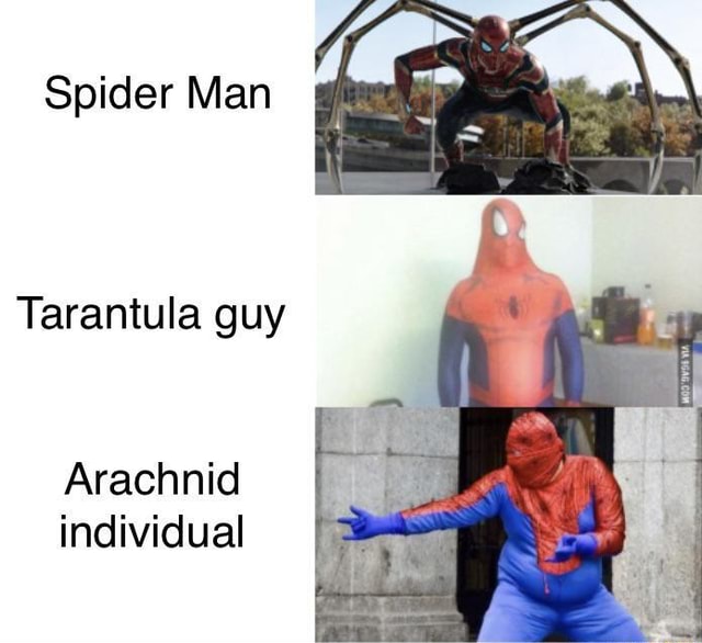 Spider Man Tarantula guy Arachnid individual - iFunny