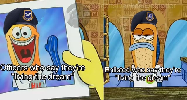 Officers who say they're Enlisted who say 'they're "living the dream ...