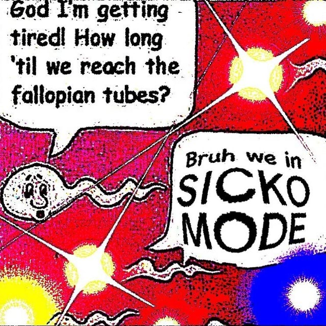 Tired! How long e "til we reach the [A fallopian tubes? - iFunny