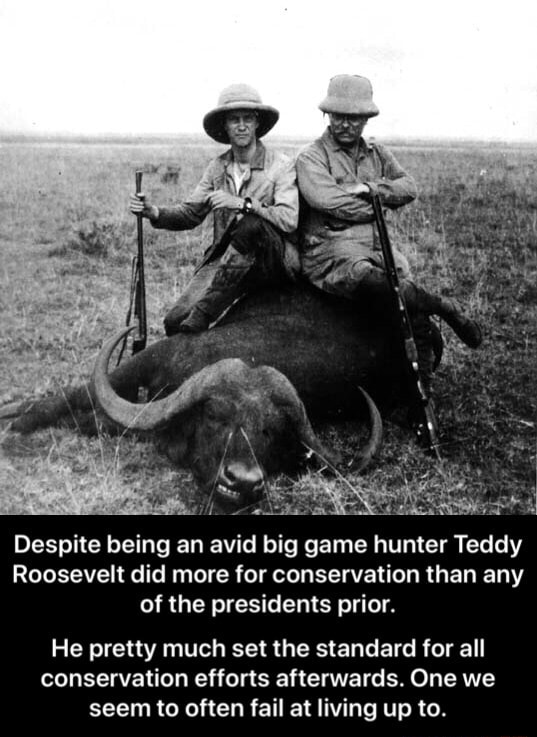 Despite being an avid big game hunter Teddy Roosevelt did more for ...