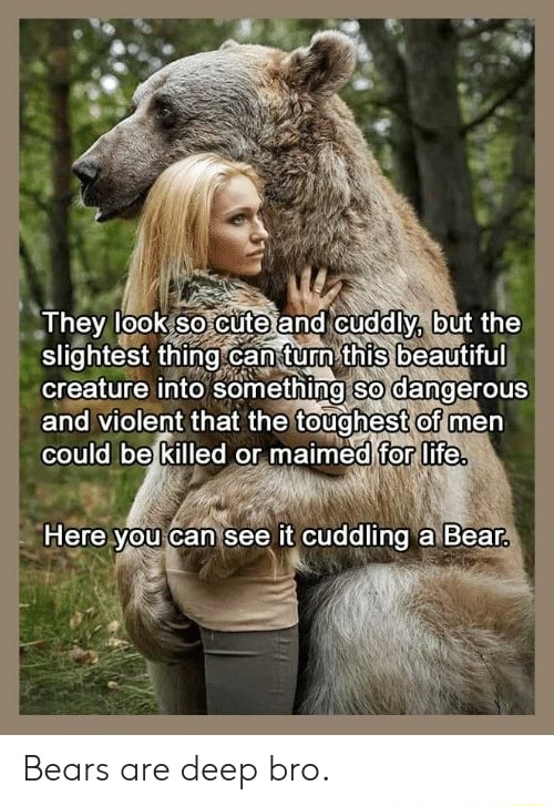 They lock so cute and cuddly, but the slightest thing can turn this ...