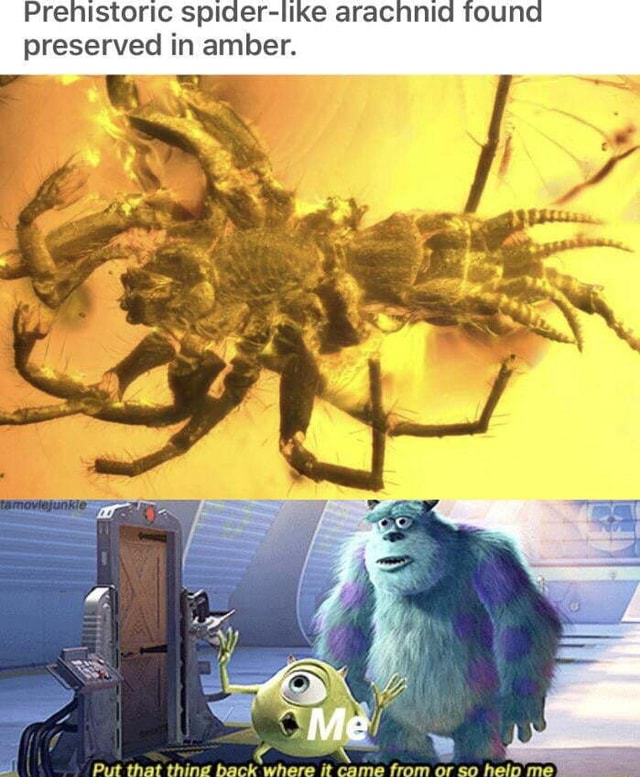 Prehistoric spider-! arachnid found preserved in amber. GO - iFunny