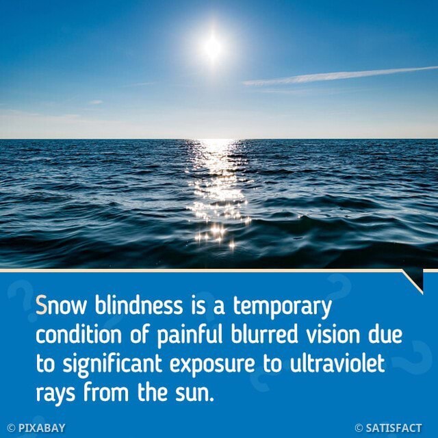 Did you know? #learnwithinstagram #brightside #snowblindness # ...