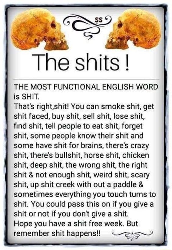 The shits I THE MOST FUNCTIONAL ENGLISH WORD is SHIT. That's right,shit ...