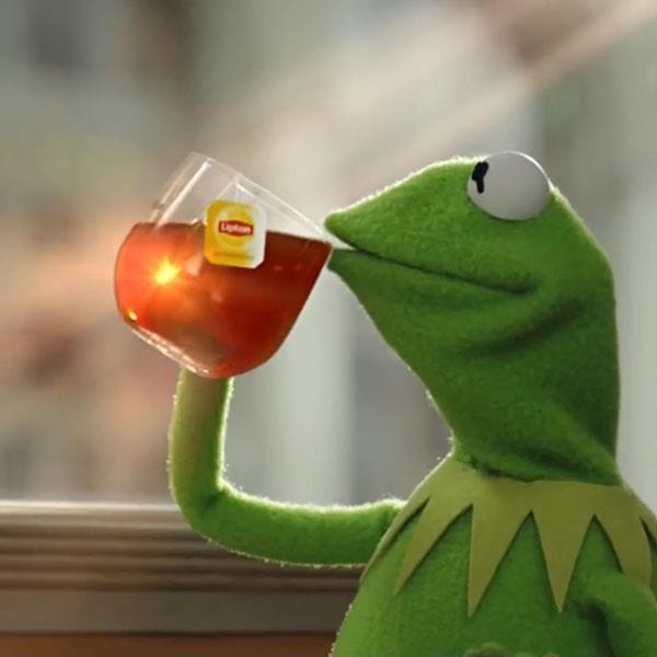 The son of Kermit and Snoopy - iFunny