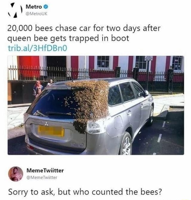 Y IS 20,000 bees chase car for two days after queen bee gets trapped in ...