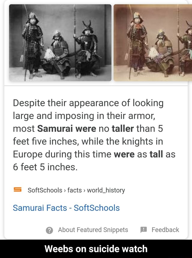 Despite their appearance of looking large and imposing in their armor ...