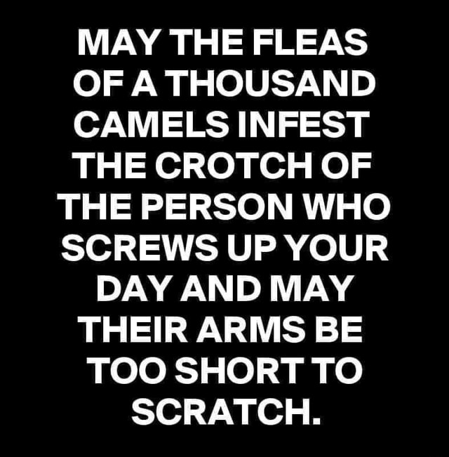 MAY THE FLEAS OF A THOUSAND CAMELS INFEST THE CROTCH OF THE PERSON WHO ...
