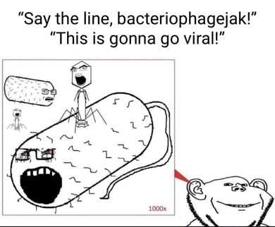 "Say the line, bacteriophagejak!" "This is gonna go viral!" - iFunny