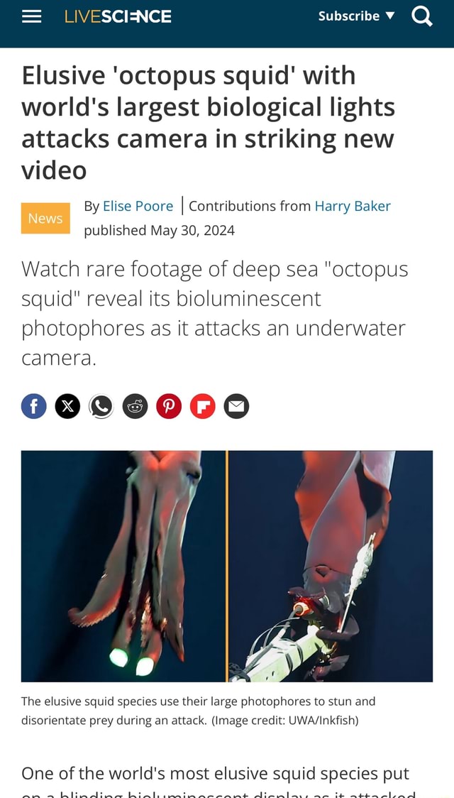 = LVESCIENCE Subscribe Qo Elusive 'octopus squid' with world's largest ...