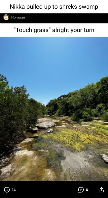 Nikka pulled up to shreks swamp "Touch grass" alright your turn - iFunny