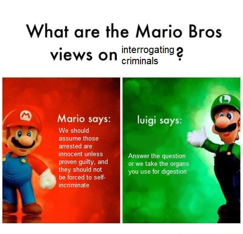 What are the Mario Bros interrogating on Mario says: We should assume ...