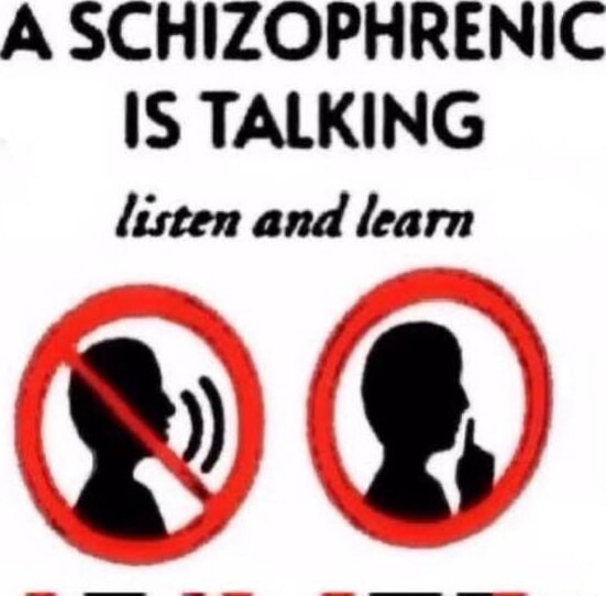 A SCHIZOPHRENIC IS TALKING listen and learn - iFunny