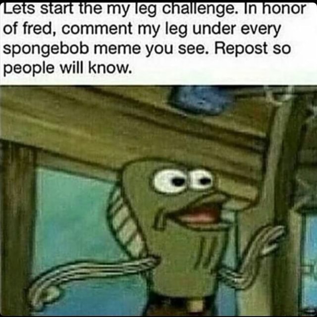 Y leg of fred, comment my leg under every spongebob meme you see ...