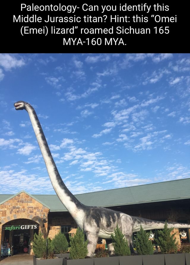 Paleontology- Can you identify this Middle Jurassic titan? Hint: this ...