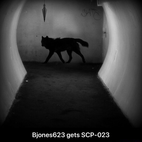 Bjone5623 gets SCP-023 - Bjones623 gets SCP-023 - iFunny