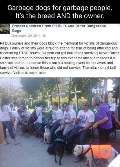 Garbage dogs for garbage people. li's the breed AND the owner. From ims ...