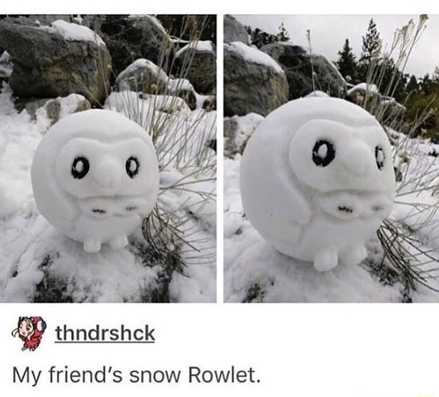 My friend's snow Rowlet. - iFunny