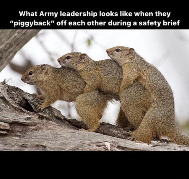 What Army leadership looks like when they "piggyback" off each other ...