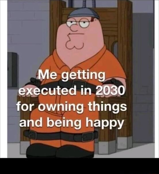 Me getting executed in 2030 for owning things and being happy - iFunny