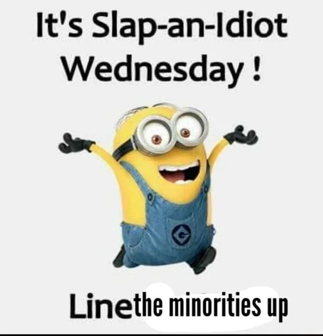 It's Slap-an-Idiot Wednesday! Sex FOu &s Linethe minorities up - iFunny