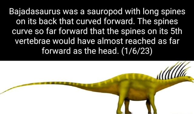 Bajadasaurus was a sauropod with long spines on its back that curved ...