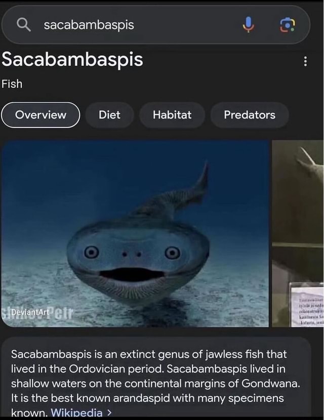 Fe SAC Sacabambaspis Fish Overview Diet Habitat Predators Sacabambaspis ...