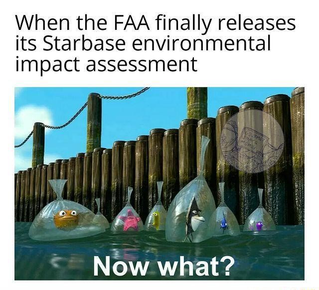 When the FAA finally releases its Starbase environmental impact ...