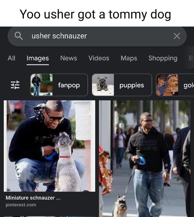 Yoo usher got a tommy dog Q. usher schnauzer All Images News Videos ...